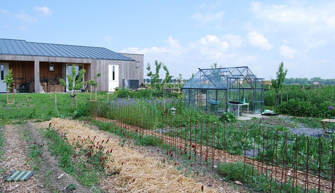 Jan-Albert has big ambitions for urban agriculture - Holland.com