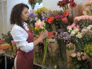 Spring in the Netherlands: tips, sights and great events. A nice ...