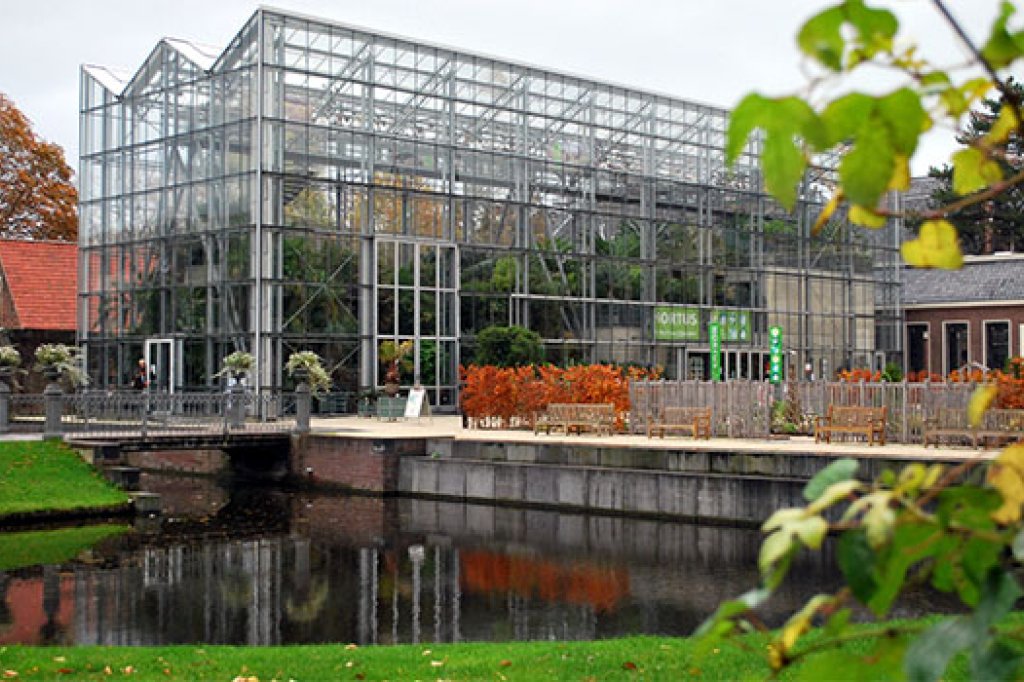 Hortus Botanicus