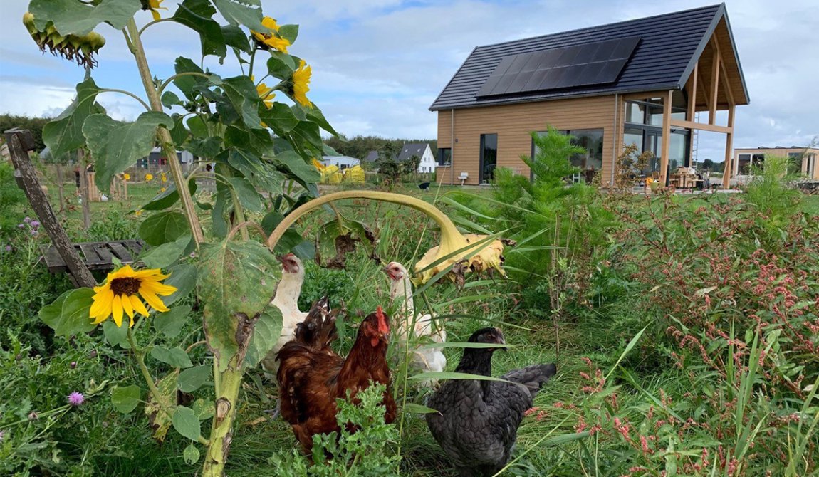 Jan-Albert has big ambitions for urban agriculture - Holland.com