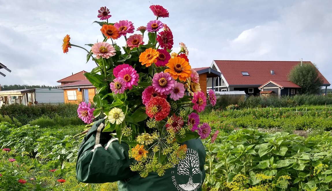 Jan-Albert has big ambitions for urban agriculture - Holland.com