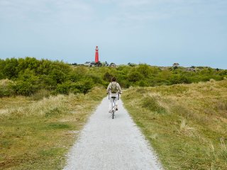 Discover the unique Wadden Sea: a UNESCO natural wonder - Holland.com