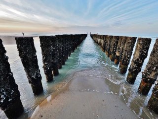 Discover the amazing beaches of the Netherlands - Holland.com